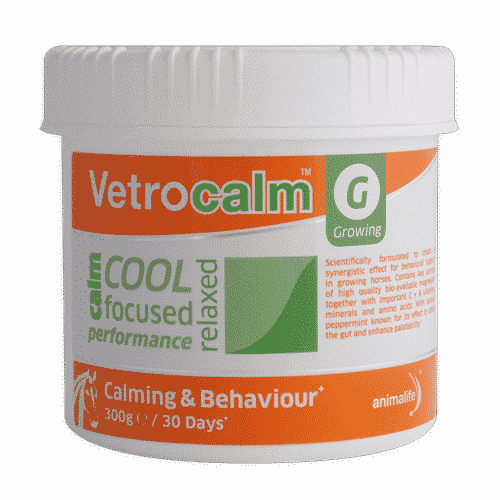 Vetrocalm Instant Syringe | Animalife